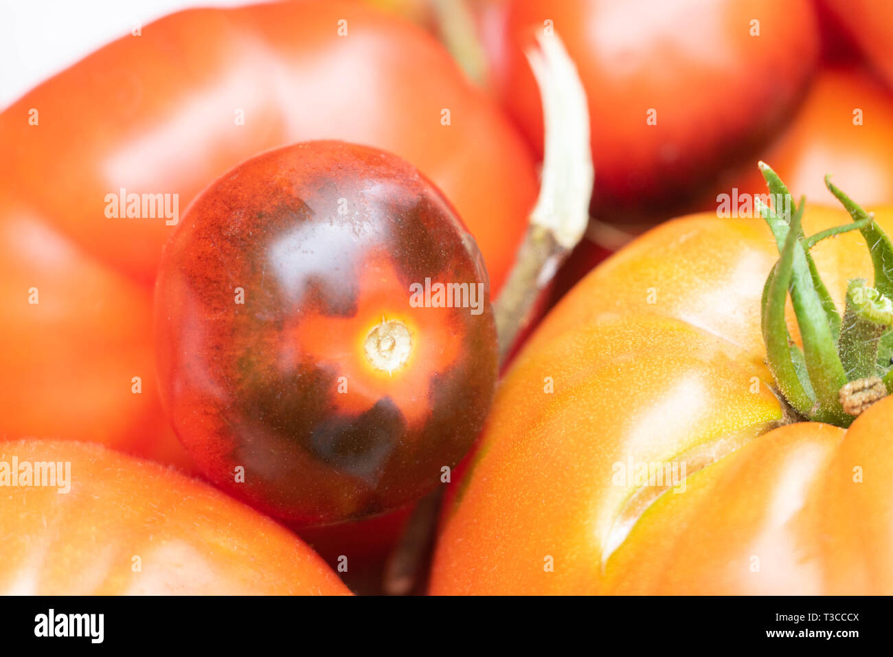 Closeup different varieties of old tomatoes Stock Photo - Alamy
