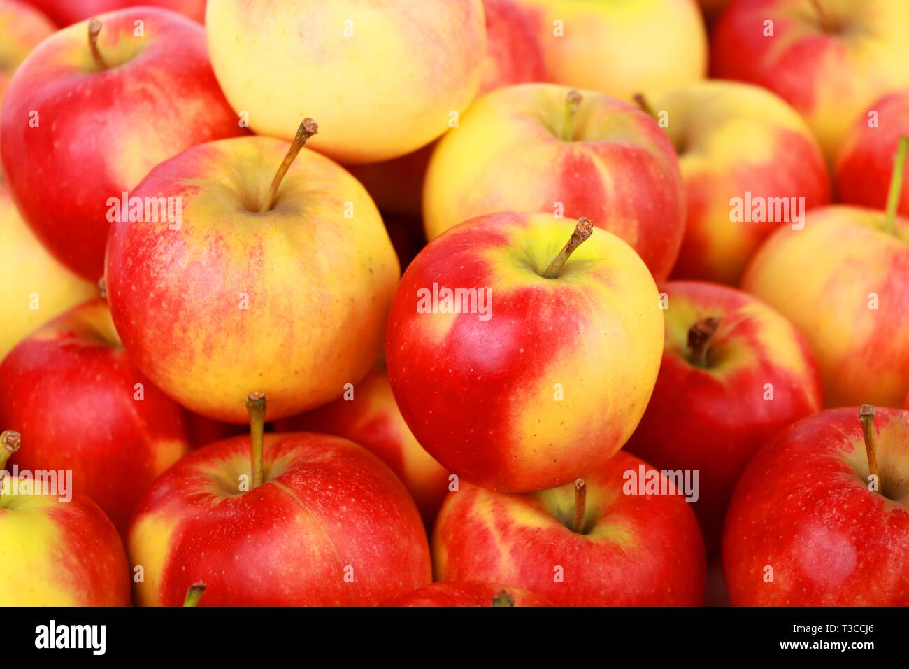 set of fresh red natural apples isolated on white - Fresh raw organic ...