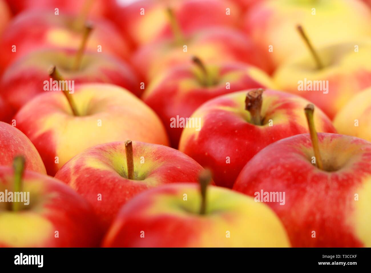 set of fresh red natural apples isolated on white - Fresh raw organic ...
