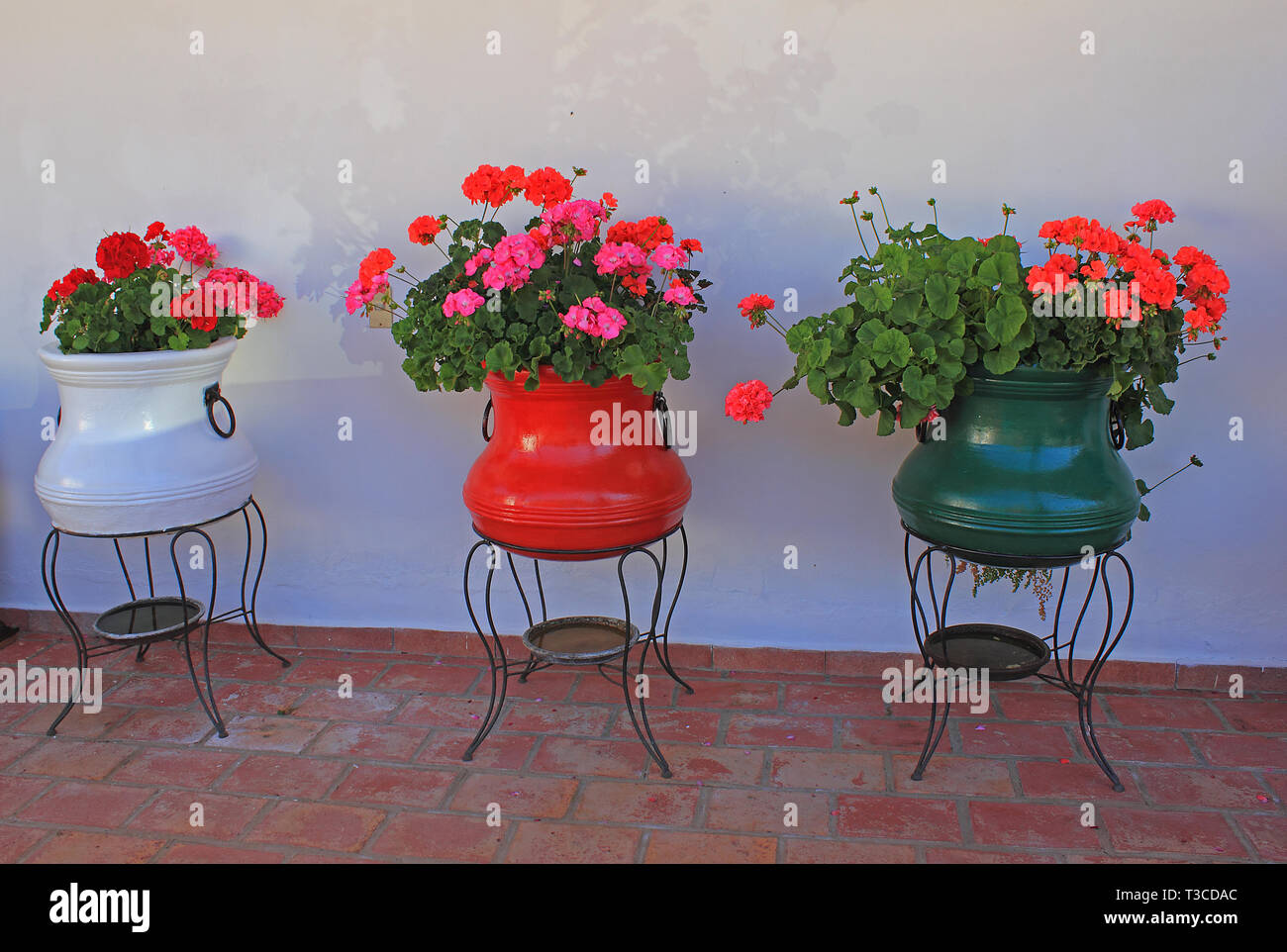 Red flowers in beautiful pots on terrace Stock Photo - Alamy