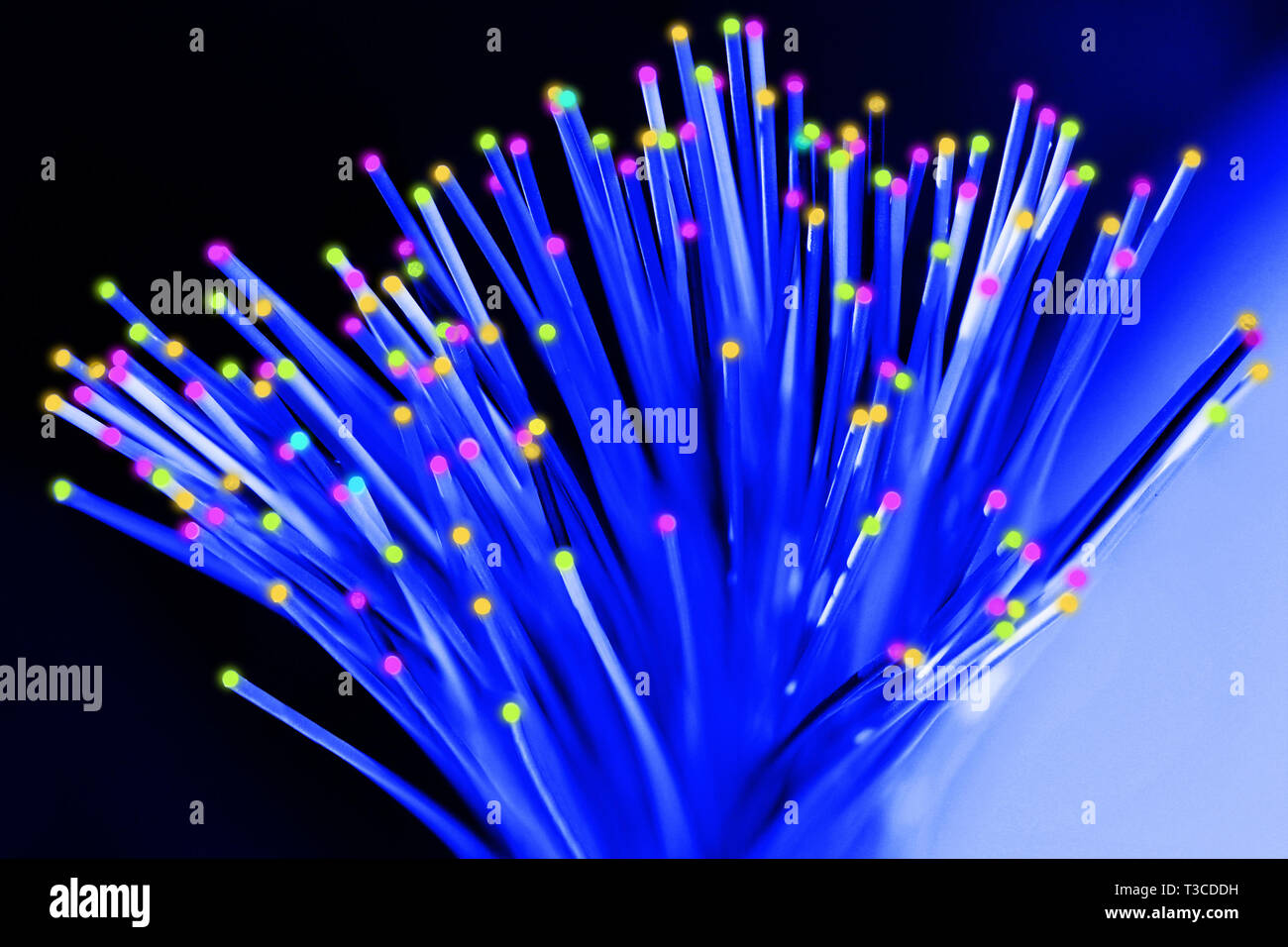 Fiber network hi-res stock photography and images - Alamy