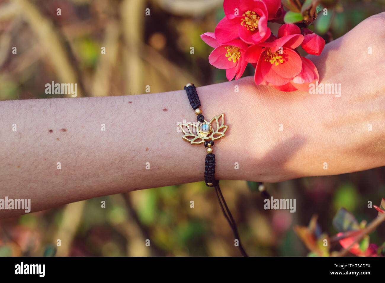 Lotus metal component labradorite stone bracelet on female wrist Stock ...