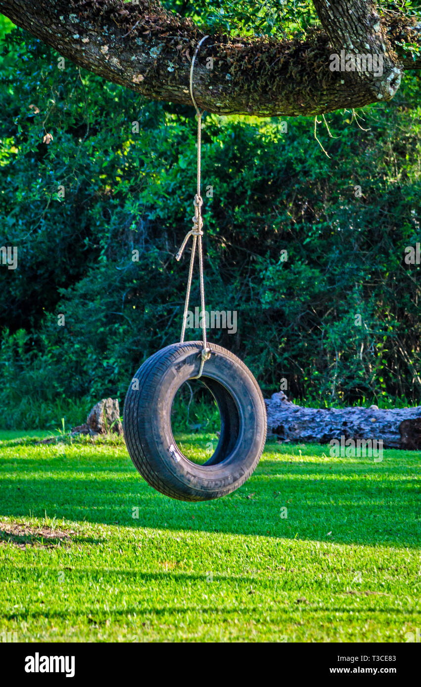 Tire swing tree hi-res stock photography and images - Alamy