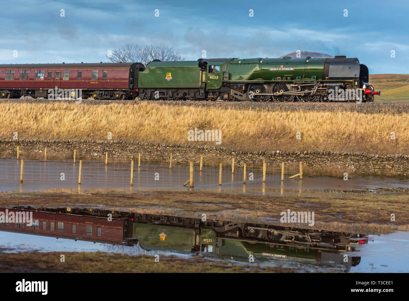 Prserved locomotive hi-res stock photography and images - Alamy