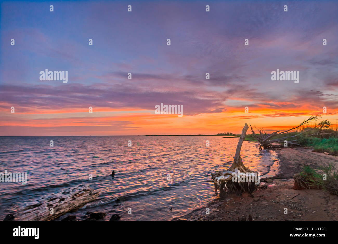 Mobile alabama beach hi-res stock photography and images - Alamy