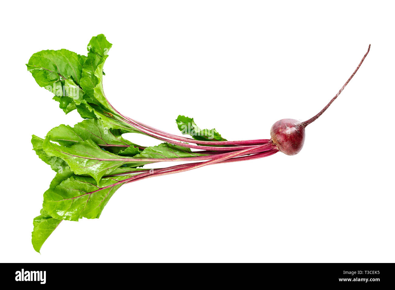 young beets with tops the harvest. isolated on white background. space ...