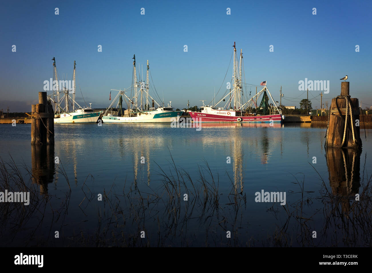 Papa rod hi-res stock photography and images - Alamy