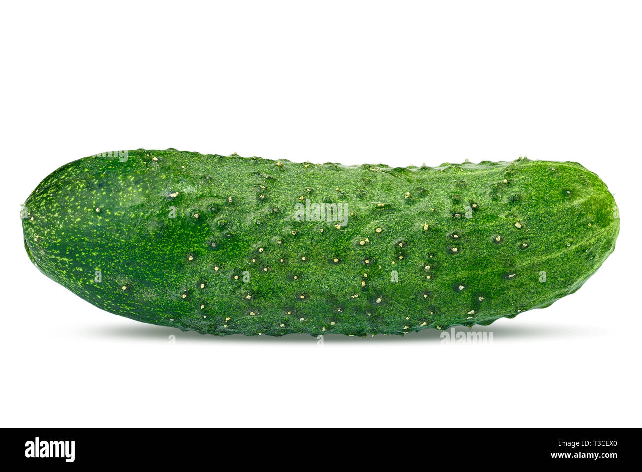 whole fresh cucumber isolated on white background. file contains ...