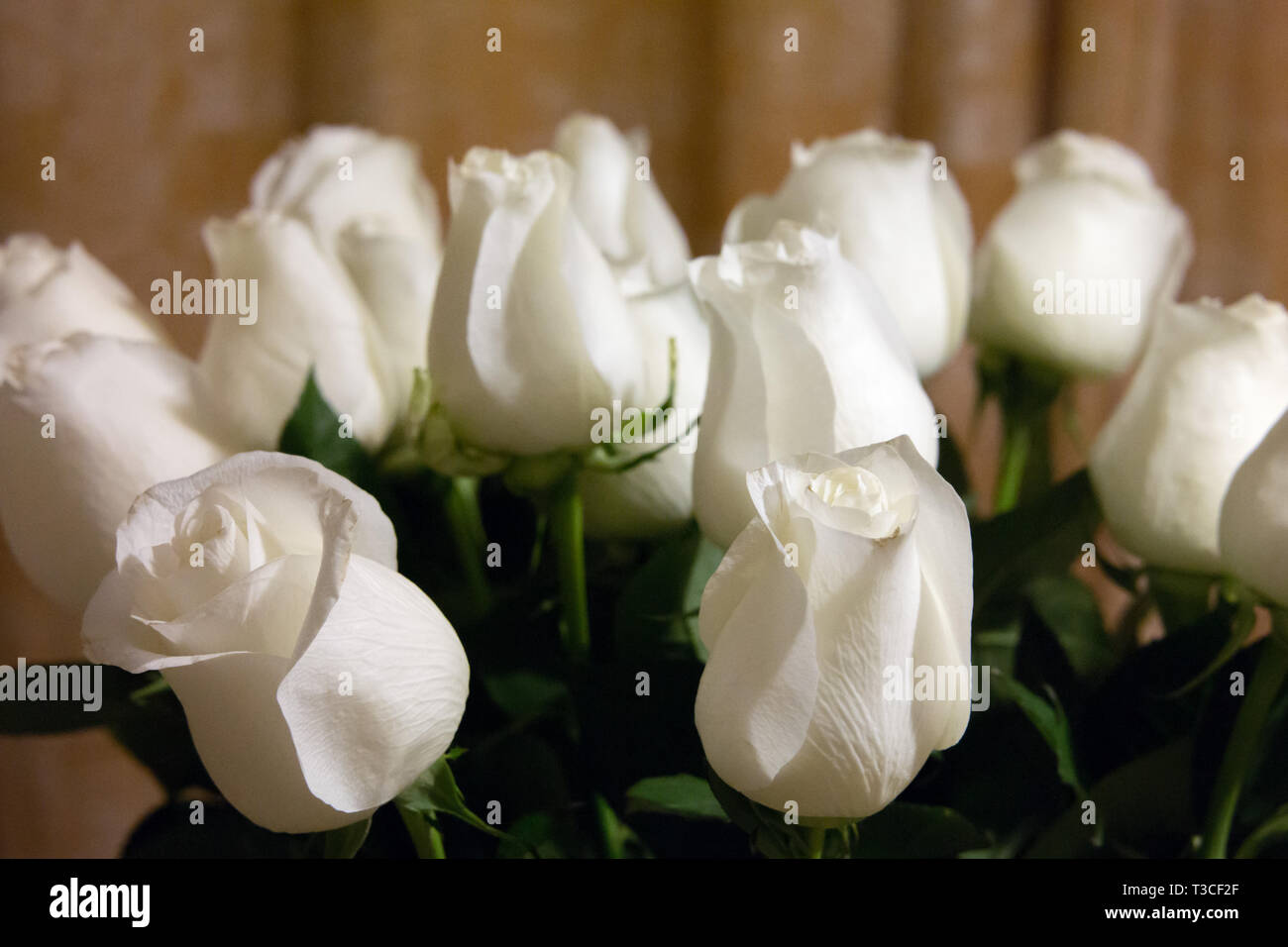 Beauty of love hi-res stock photography and images - Alamy