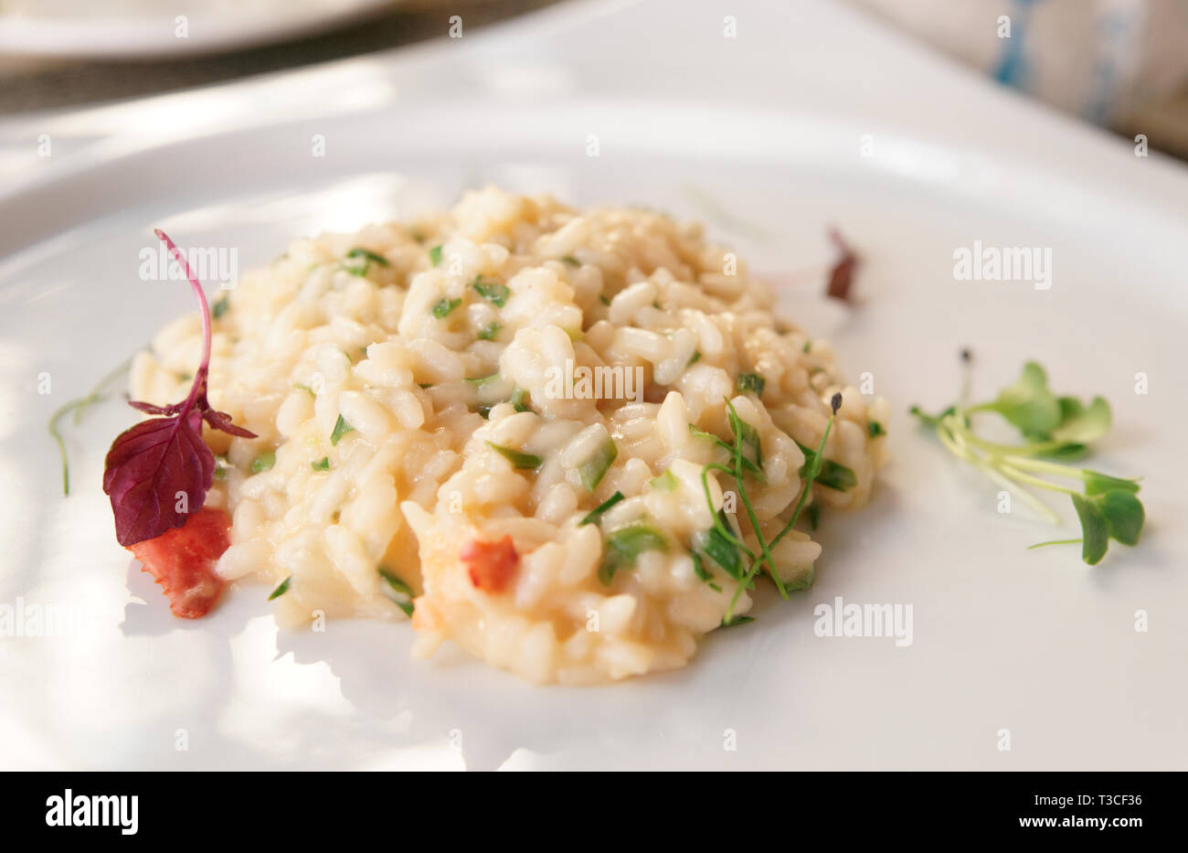 Risotto with lobster on plate, close-up Stock Photo - Alamy