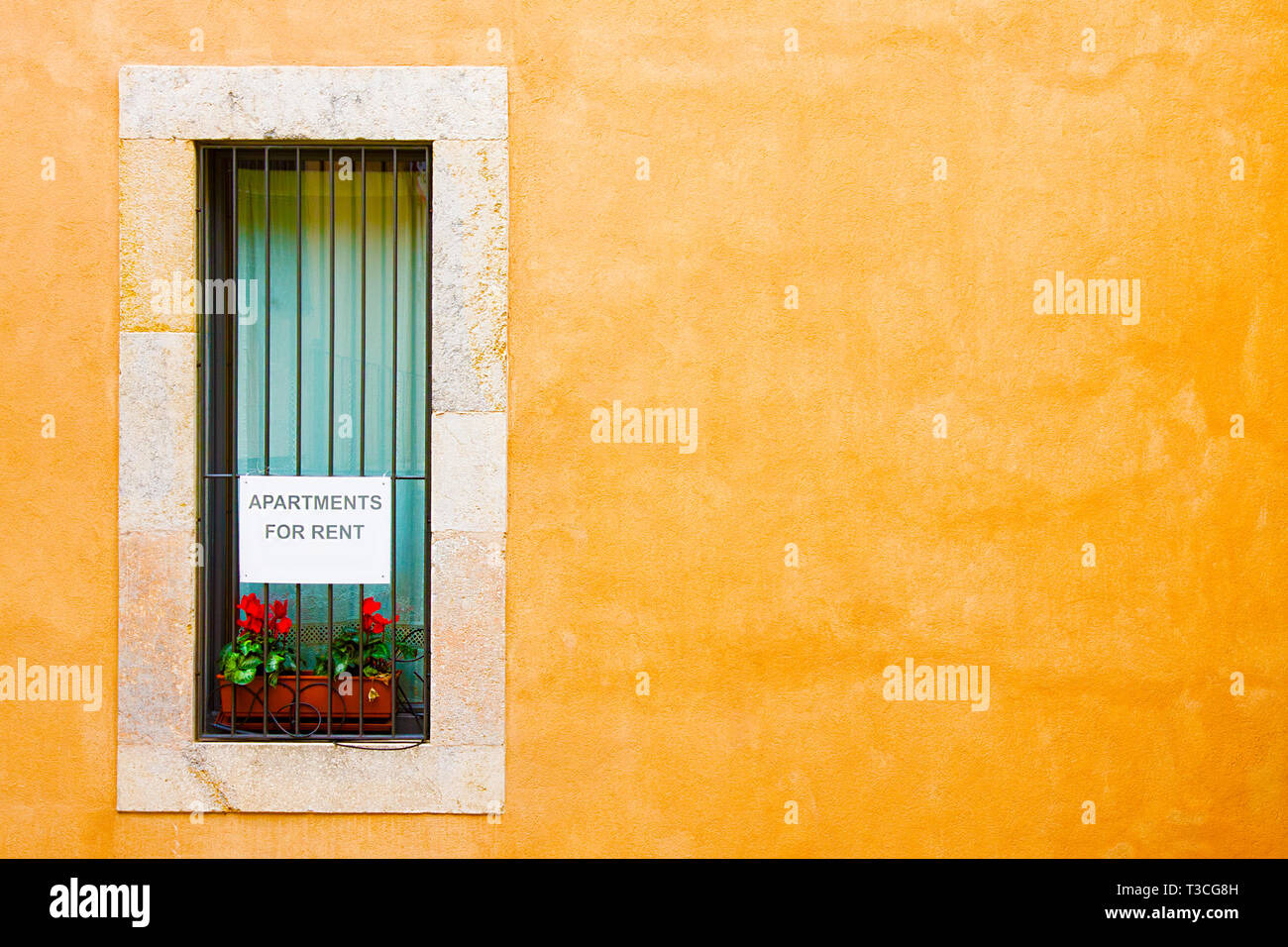 Apartments for rent. Window with announcement and yellow wall Stock ...