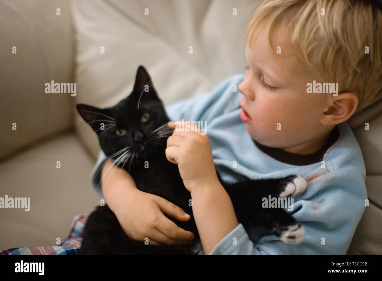 A young boy cuddles his cat Stock Photo - Alamy