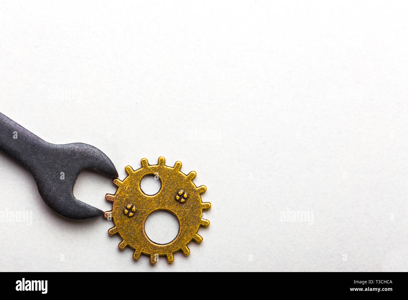 Top closeup view of gear wheel on white background with blank space for ...