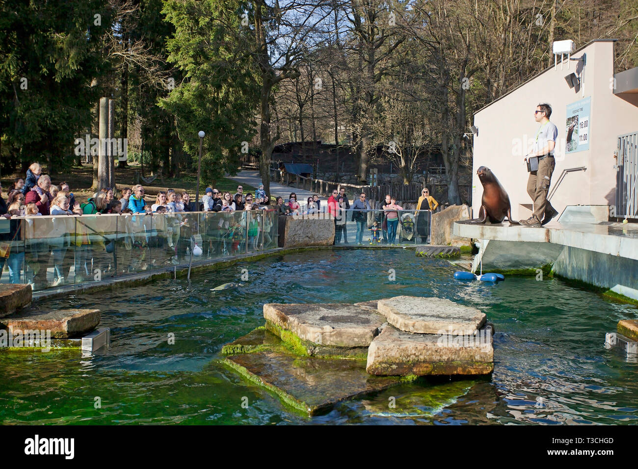 Feeding time and zoo hi-res stock photography and images - Alamy