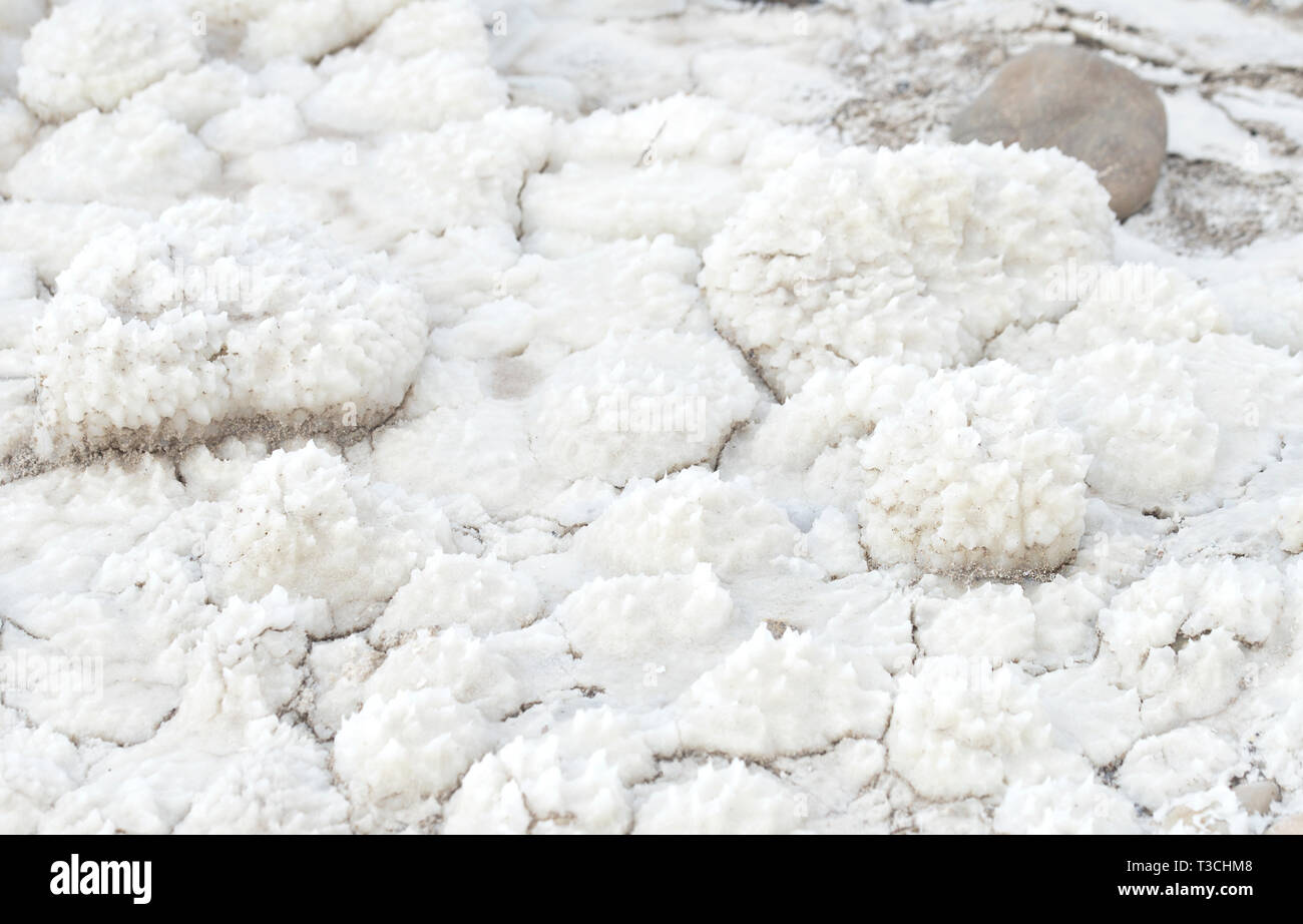 salt background, dead sea salt. Jordan. Natural salt from Dead Sea ...
