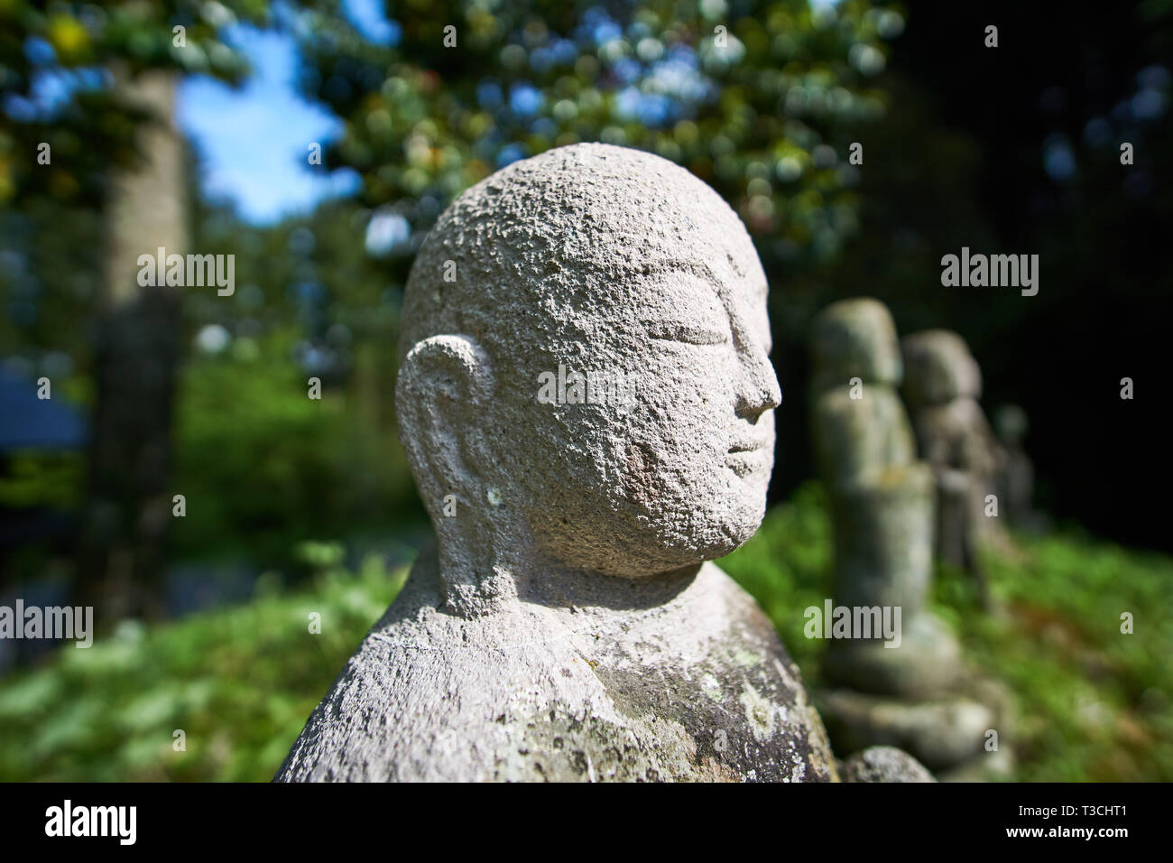 Small Buddha statues stand in a row at Tainei-ji Temple in Sukawa ...