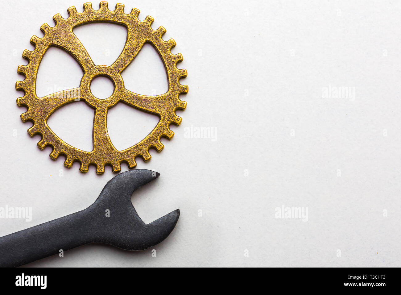 Top closeup view of gear wheel on white background with blank space for ...
