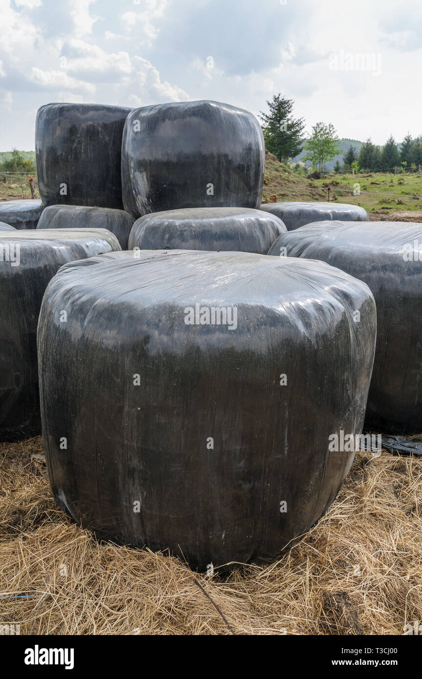 Black hay bales hi-res stock photography and images - Alamy