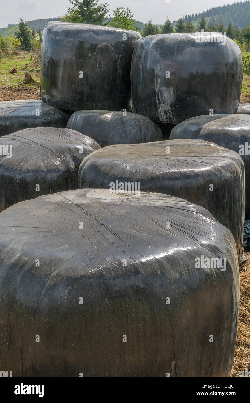 Plastic hay rolls hi-res stock photography and images - Alamy