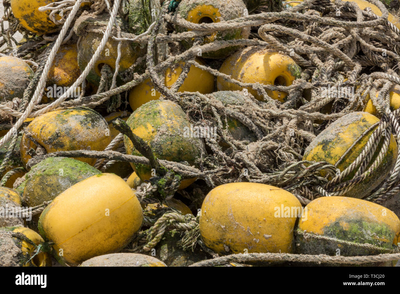 Knotting Ropes High Resolution Stock Photography and Images - Alamy