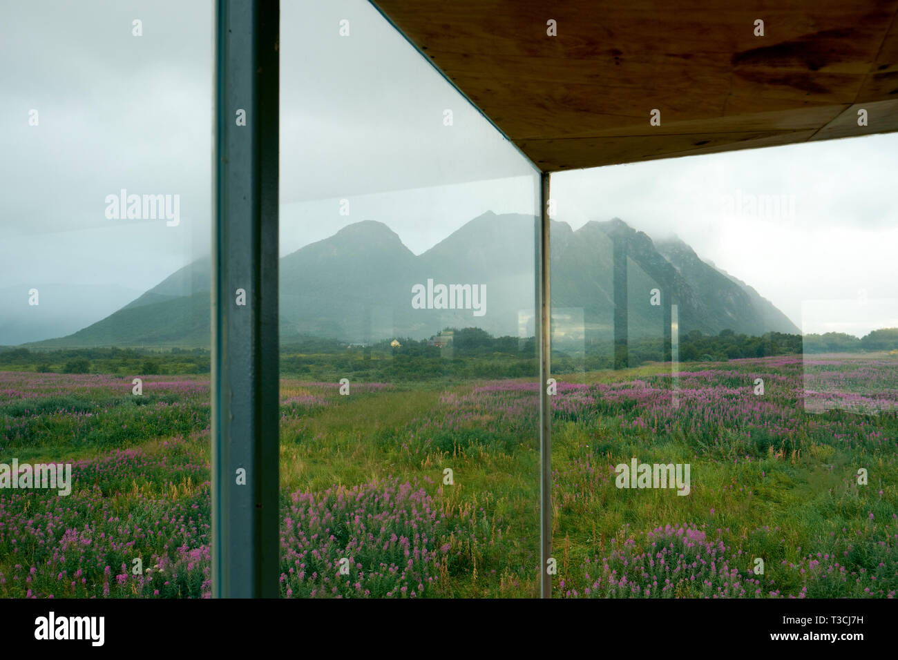 An abstract modern window view of the Lofoten mountain and flora ...