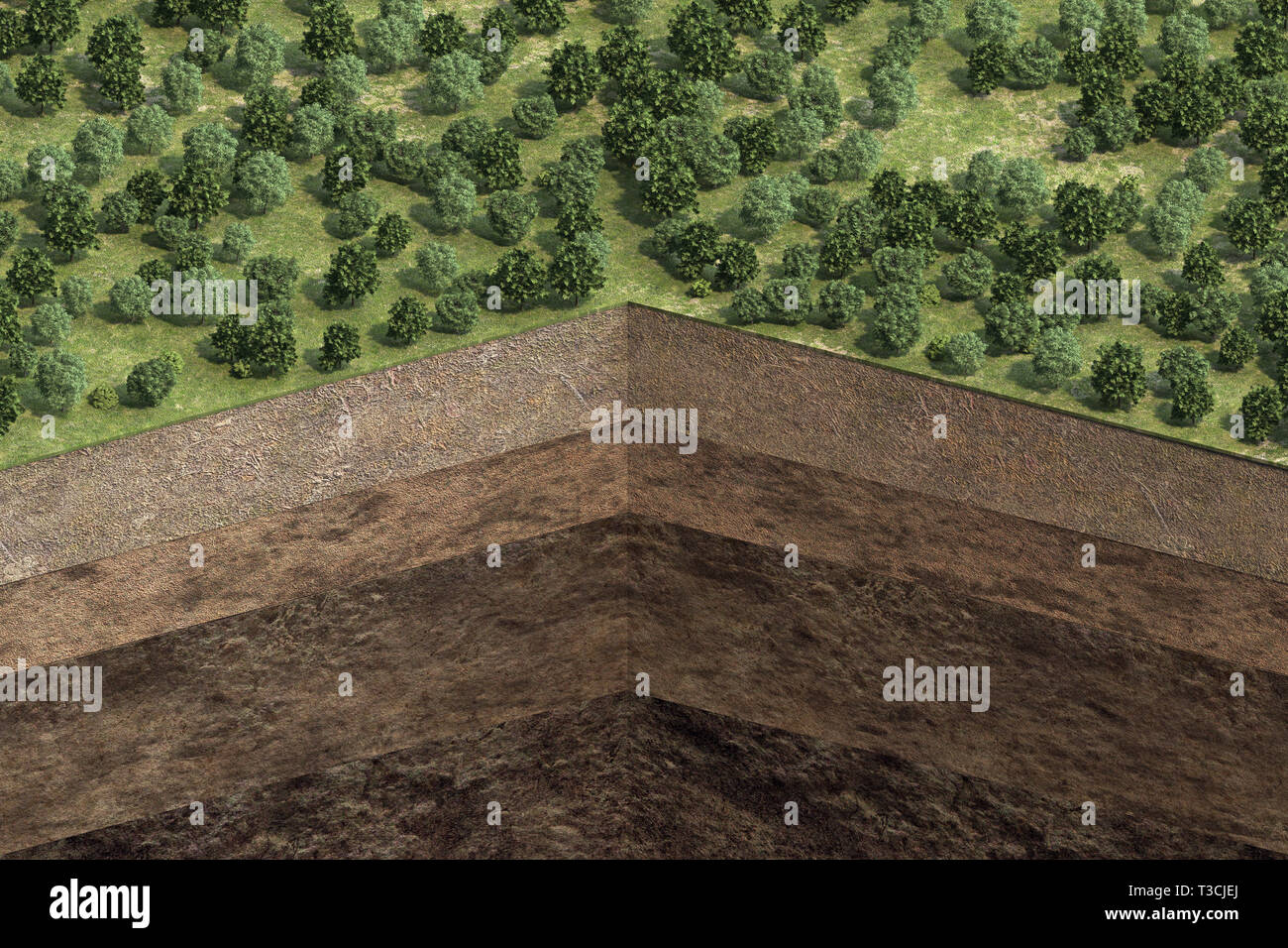 Soil layers cutaway hi-res stock photography and images - Alamy