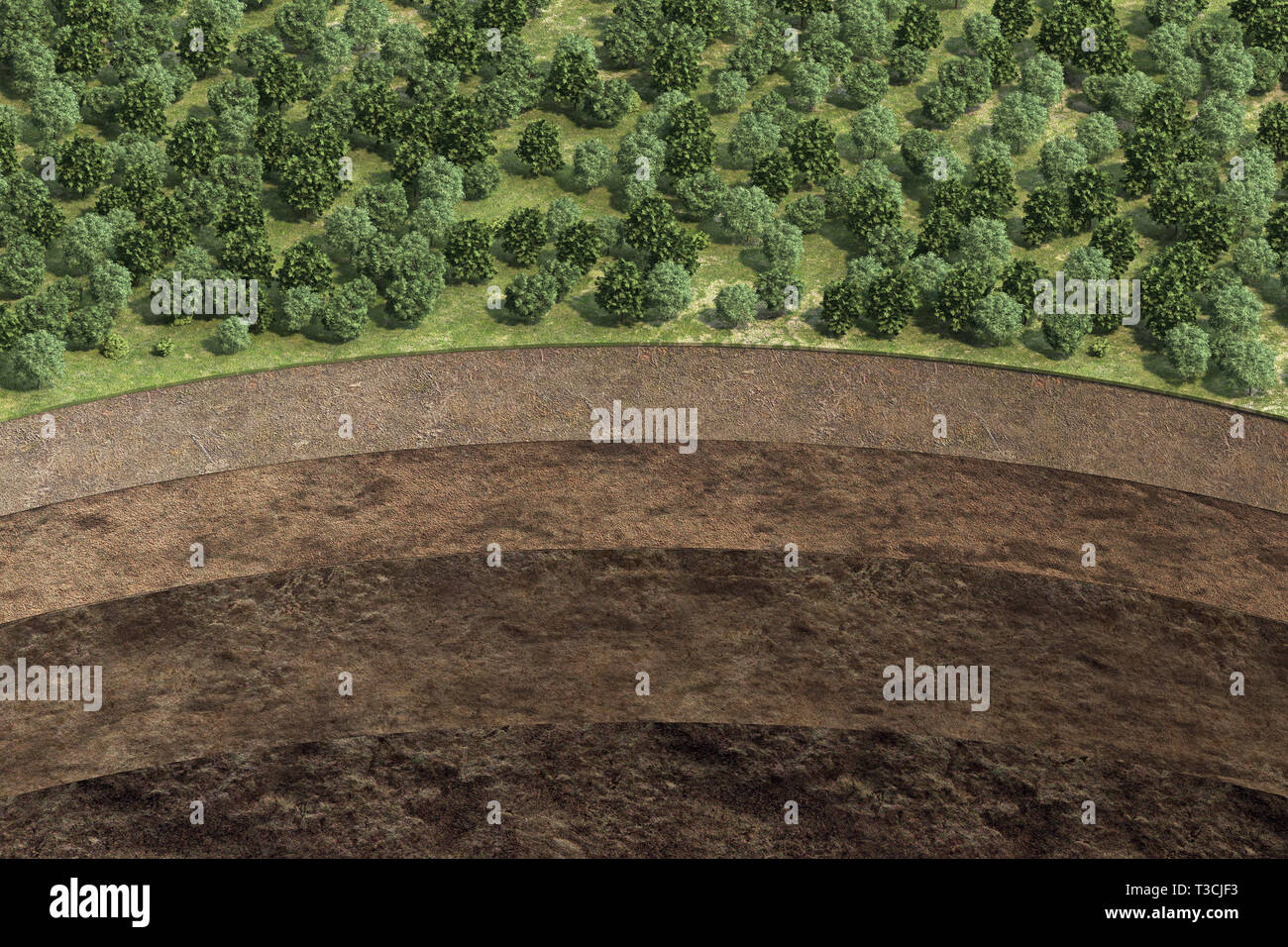 cutaway of soil with soil layers and forest. 3d rendering Stock Photo ...