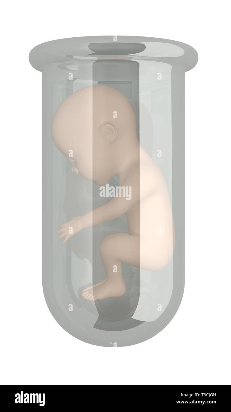 human embryo in vitro isolated on white. 3d rendering Stock Photo - Alamy