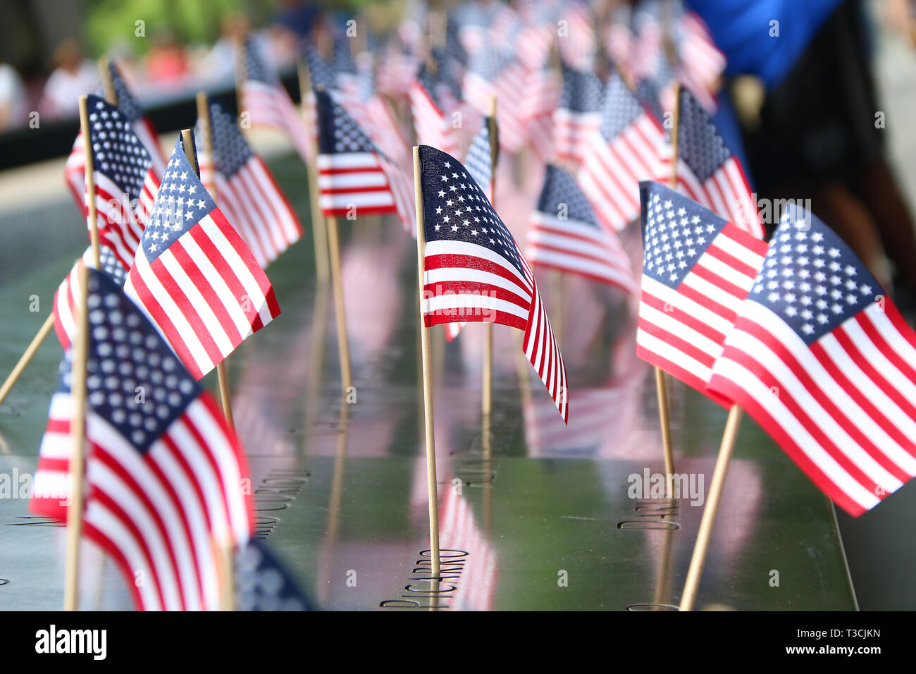 Flags at National September 11 Memorial, NYC 4th July Stock Photo - Alamy