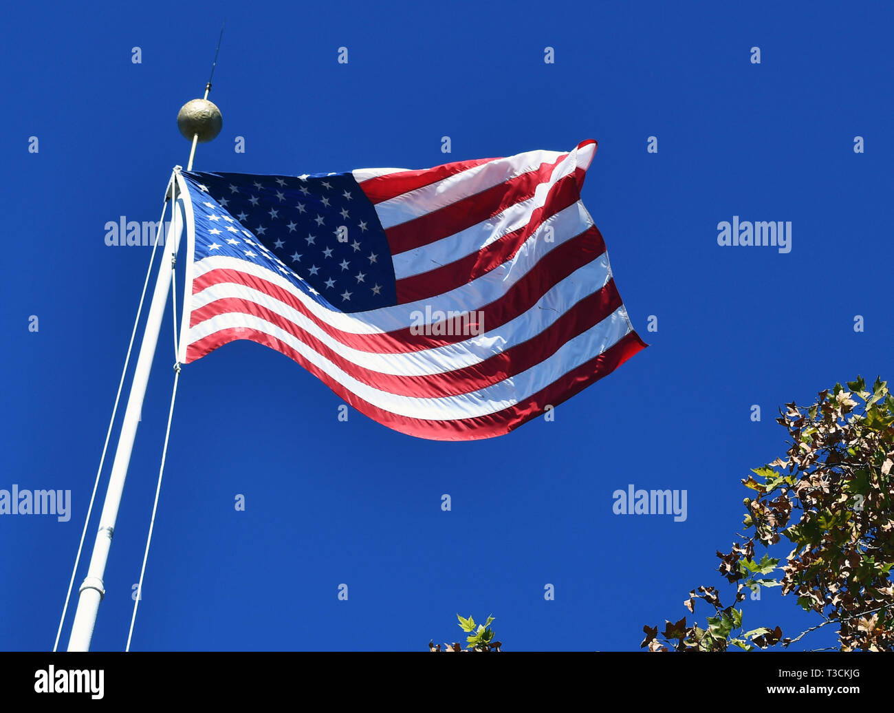 Beautiful United States of America flag Stock Photo - Alamy