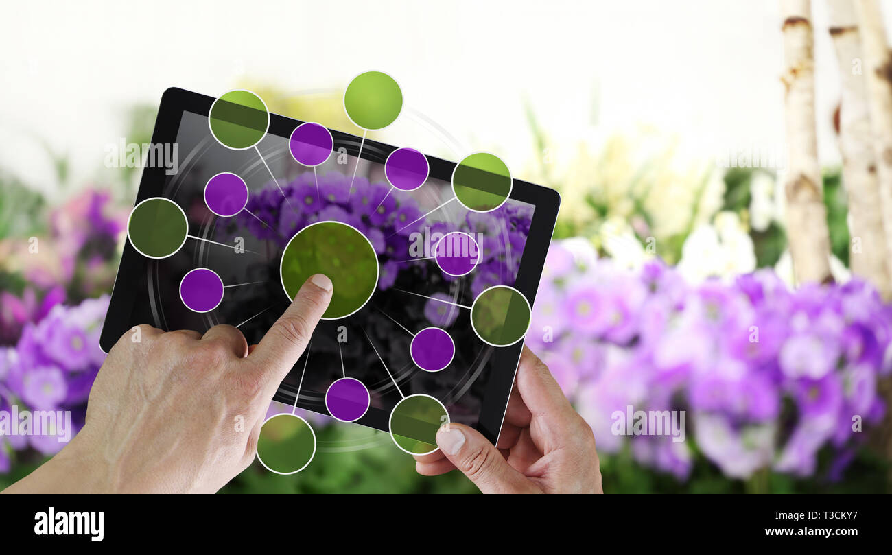 gardening and flowers e-commerce concept, online shopping on digital ...