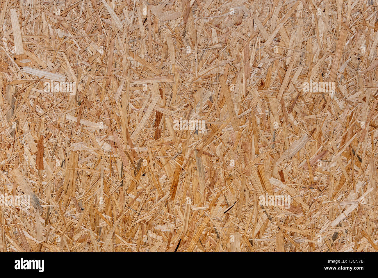 close up pressed wooden panel background, seamless texture of oriented ...