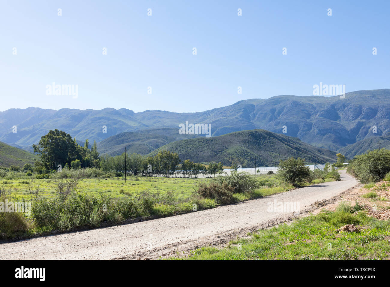 Meander road hi-res stock photography and images - Alamy