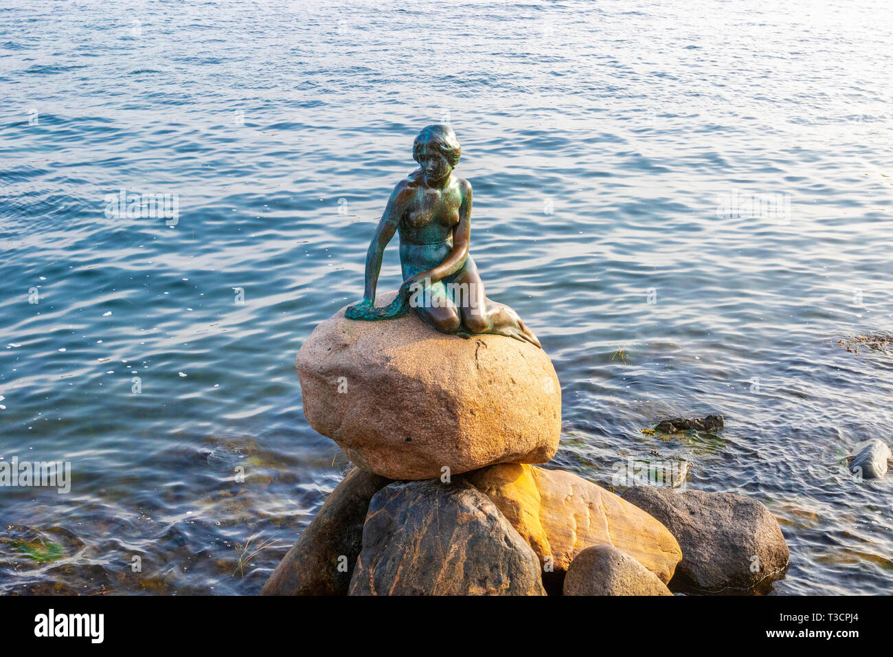 The Little Mermaid statue in copenhagen, especially popular tourist ...