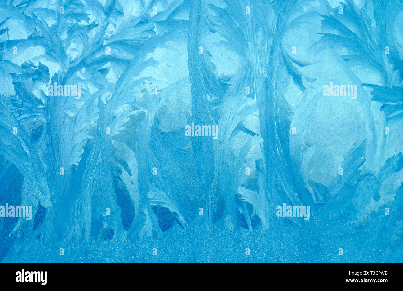 Blue frost on a cabin window in Sawtooth Valley, ID Stock Photo - Alamy