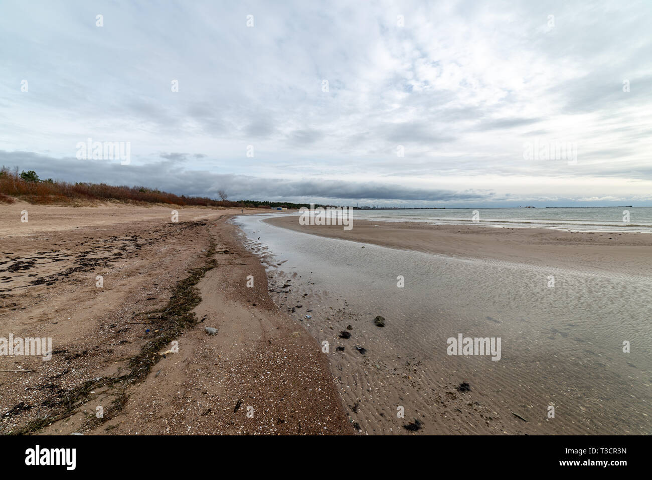 empty sea beach in autumn with lonely trees and rocks in sands ...