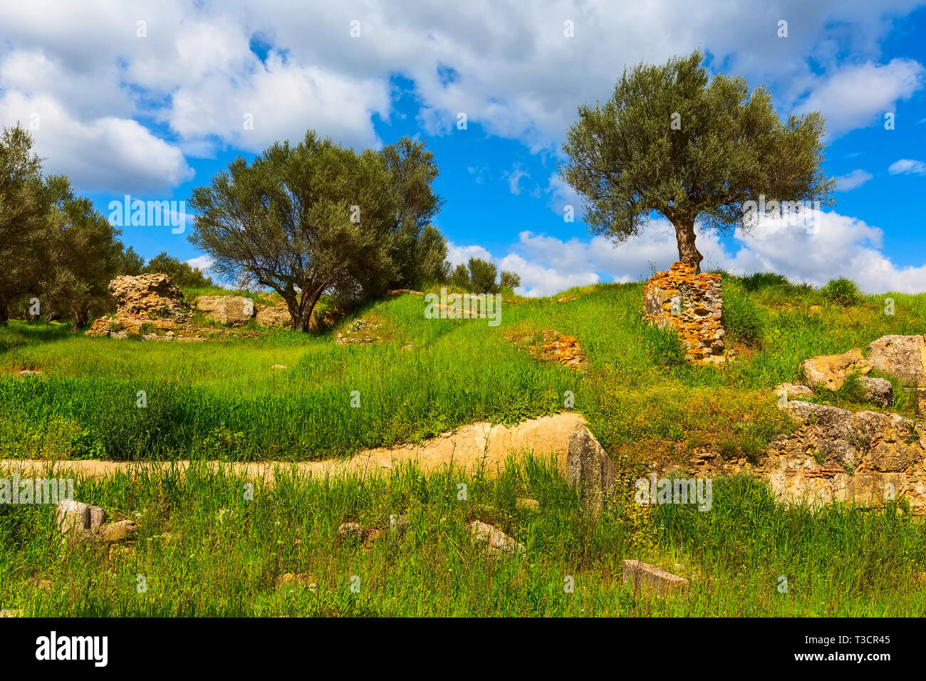 Sparta, Greece Ancient ruins remains in Peloponnese Stock Photo - Alamy