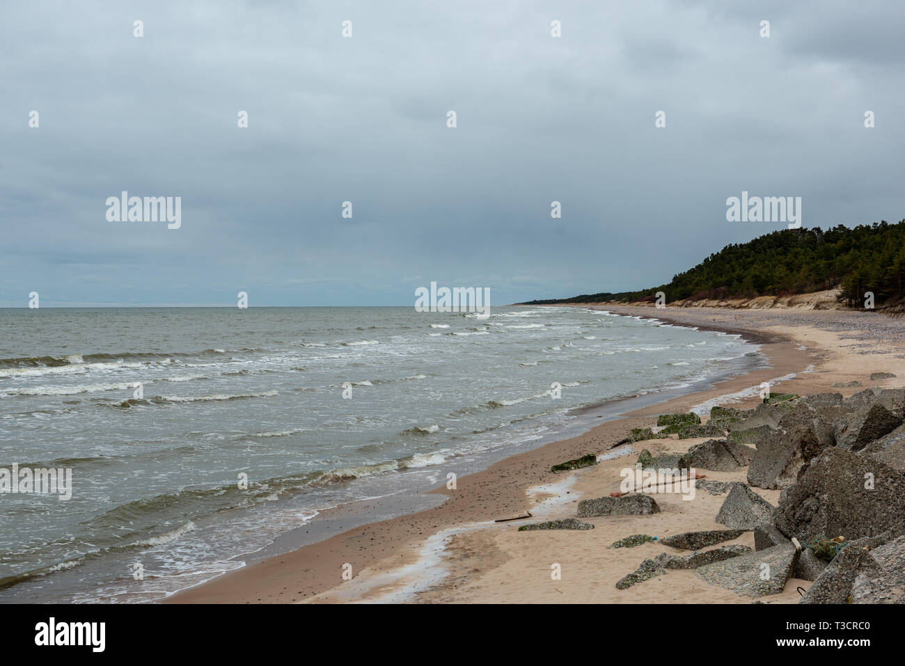 empty sea beach in autumn with lonely trees and rocks in sands ...