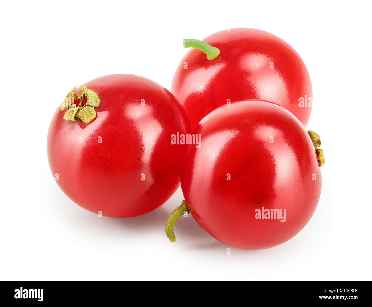Red currant berry isolated on white background Stock Photo - Alamy
