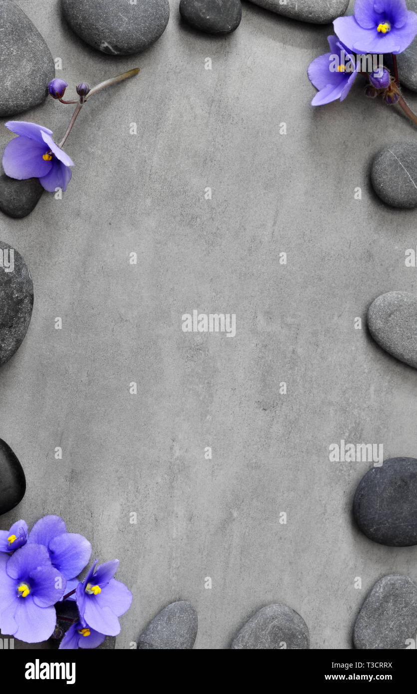 Blue flower and stone zen spa on grey background Stock Photo - Alamy