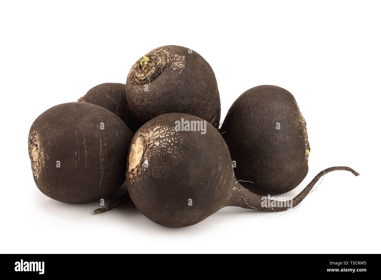 five black radish isolated on white background Stock Photo - Alamy