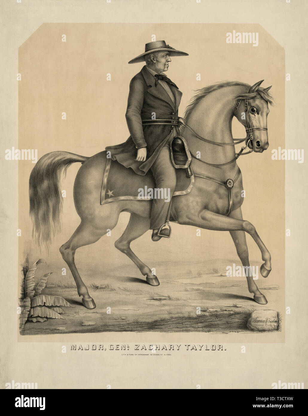 Major General Zachary Taylor, Lithograph, H.R. Robinson Stock Photo - Alamy