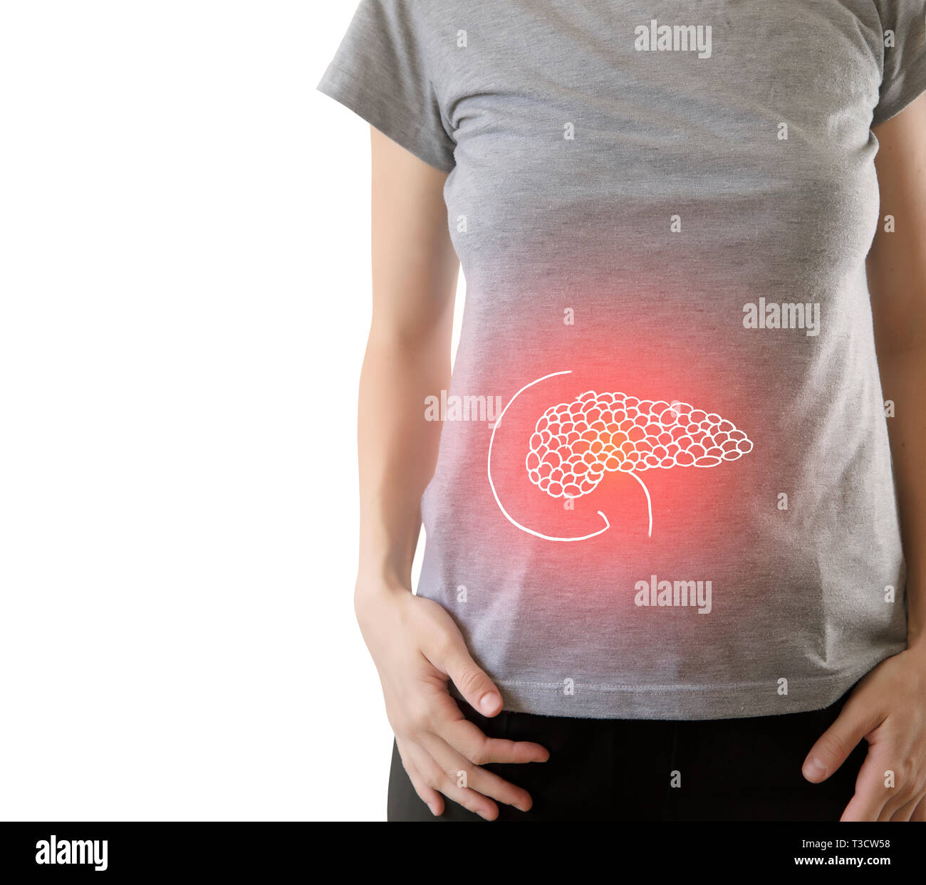 Acinus cell hi-res stock photography and images - Alamy