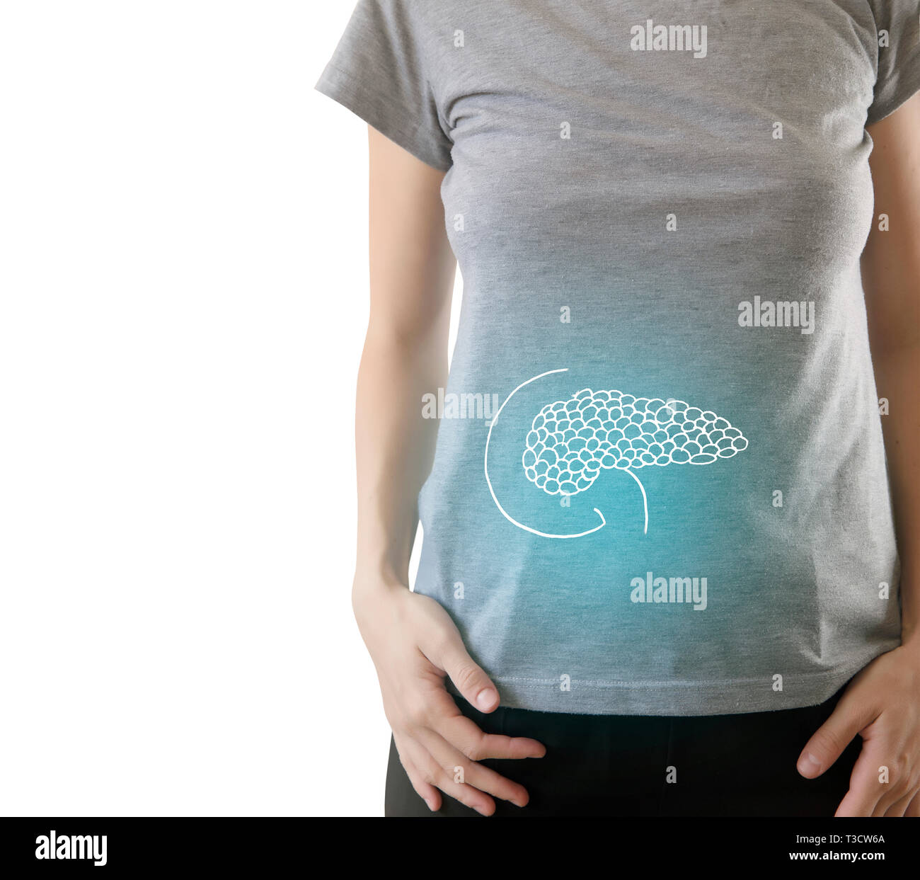 Healthy human pancreas highlighted blue Stock Photo - Alamy