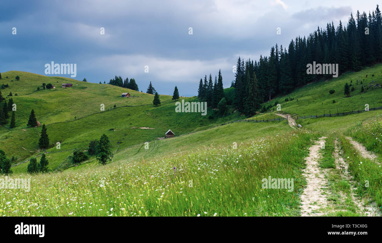 Summer landscape with mountains, fir forest, road and haystack in ...