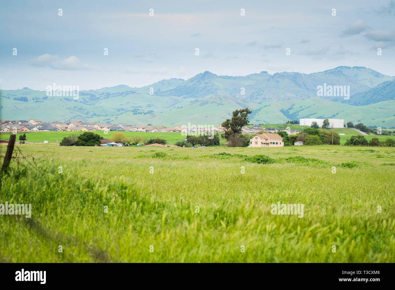 grassy field with hills in the distance Stock Photo - Alamy