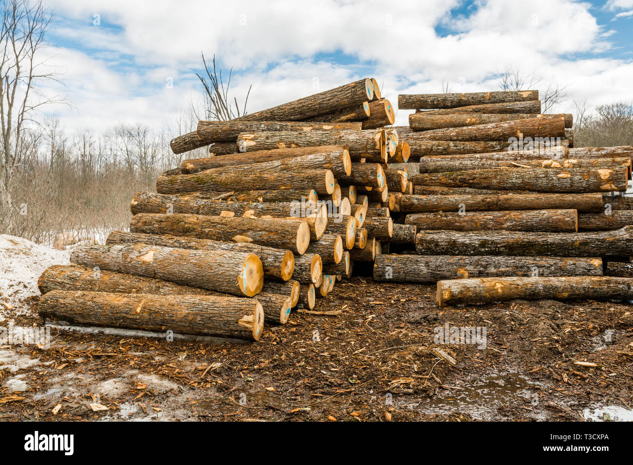 Stock pile hi-res stock photography and images - Alamy