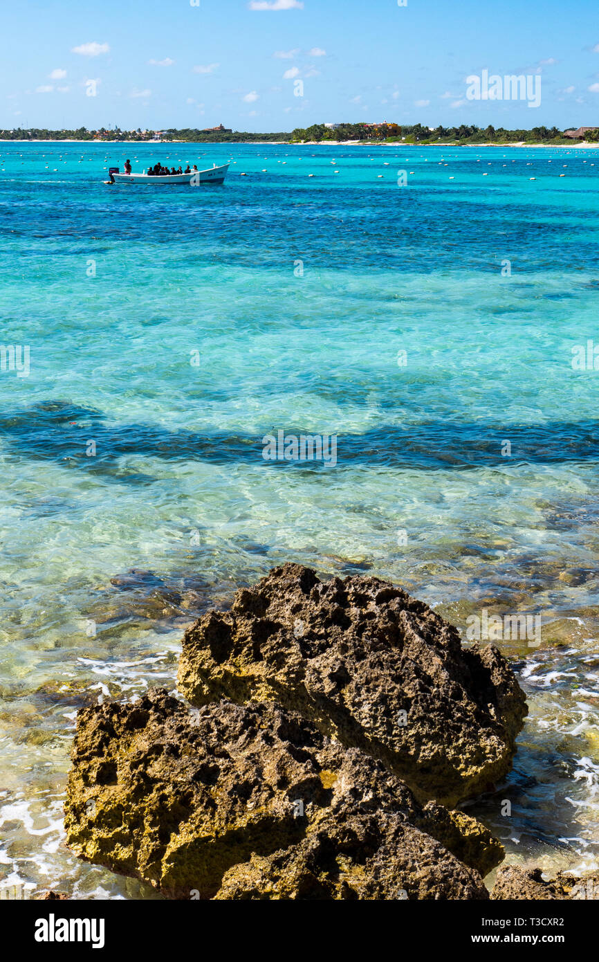 Akumal cancun turtle hi-res stock photography and images - Alamy