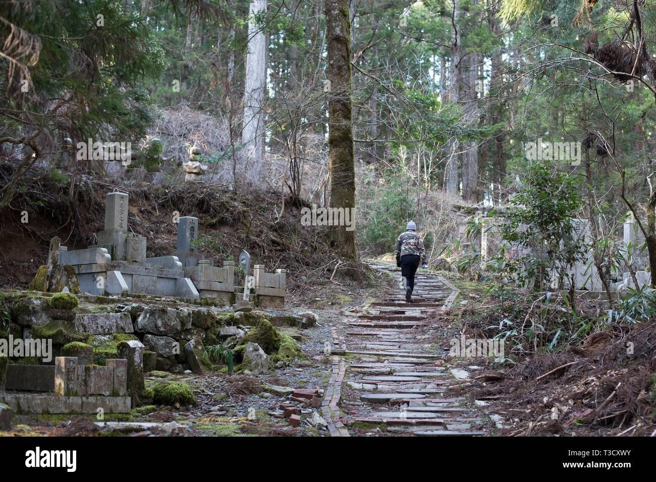 Walking in cemetery hi-res stock photography and images - Alamy
