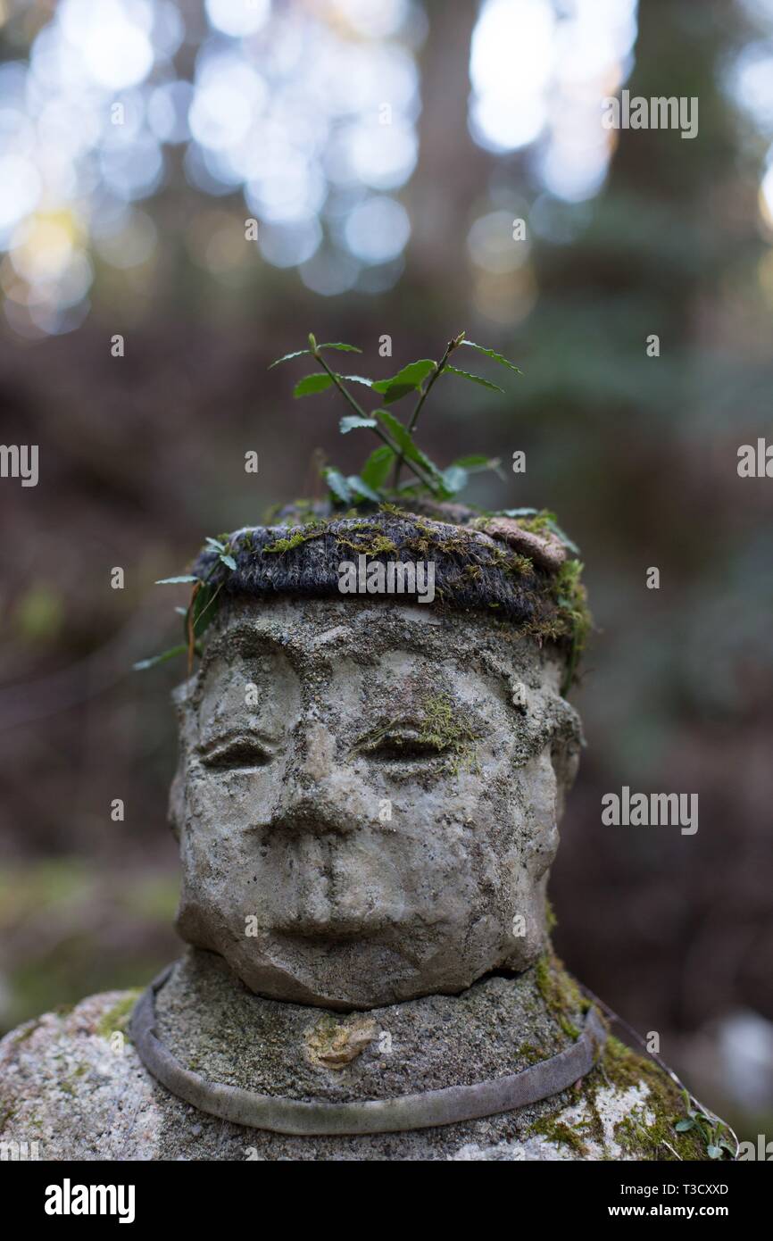 A Jizo statue with plant growing from its head at Okunoin cemetery in ...